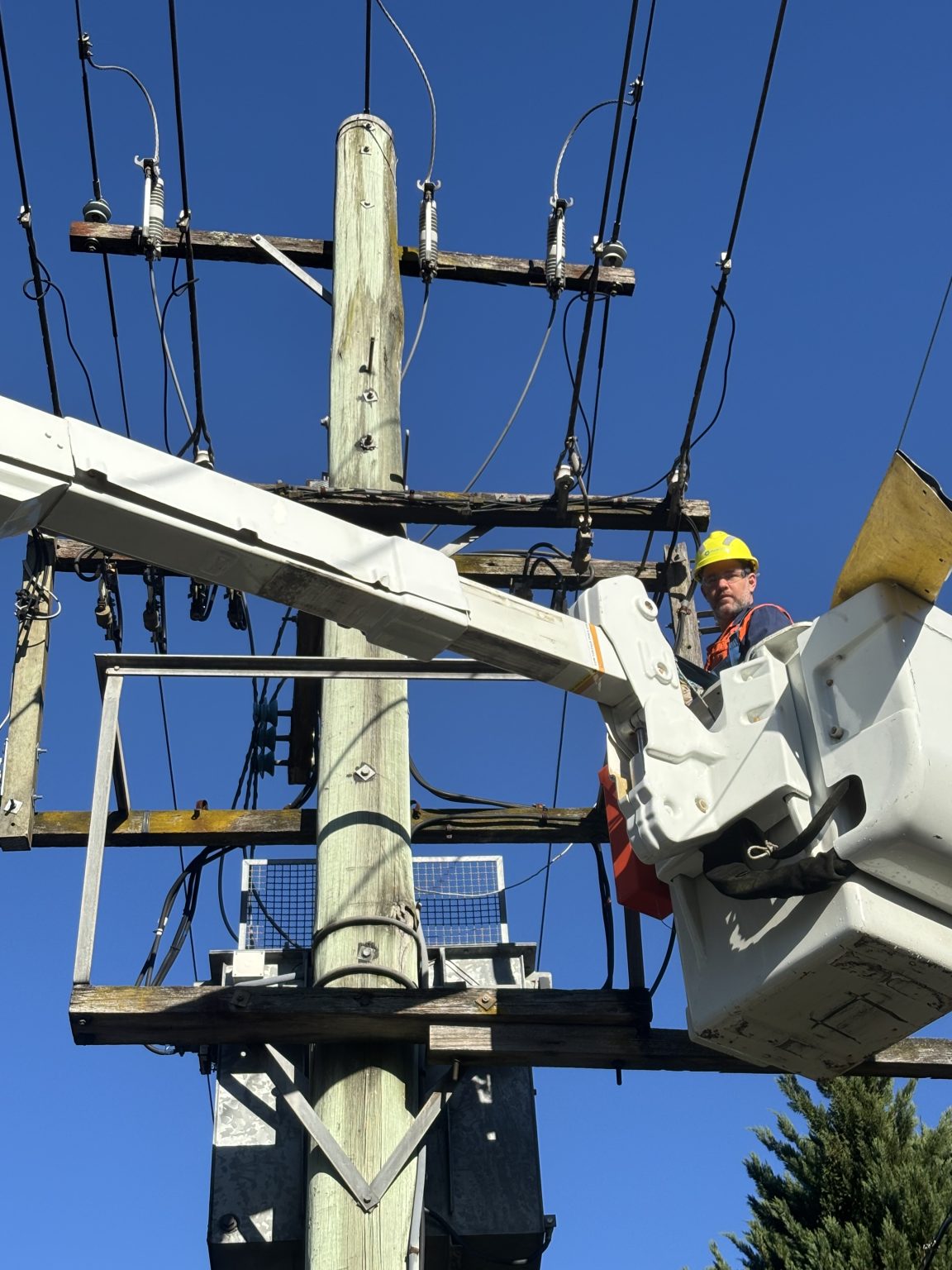 Level 2 Electrician Ashfield | Wise Choice Electrical